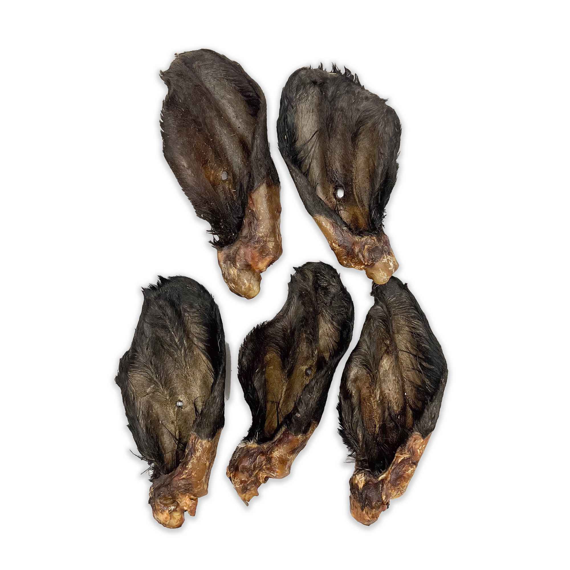 Beef Ears With Fur For Dogs | Natural Dog Chew – Natora